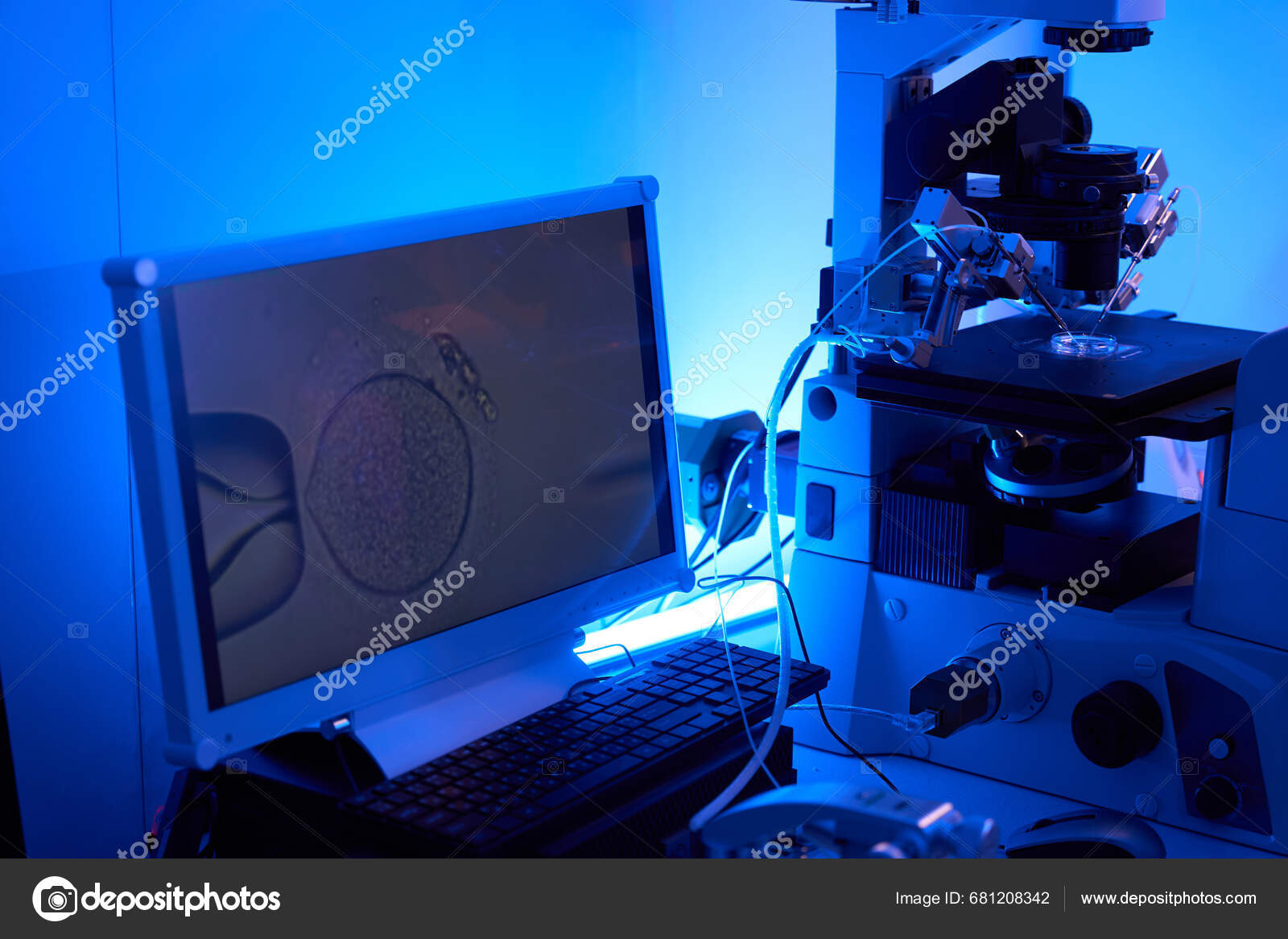 Sperm Injection Cytoplasm Egg Cell Performed Microscope Equipped ...