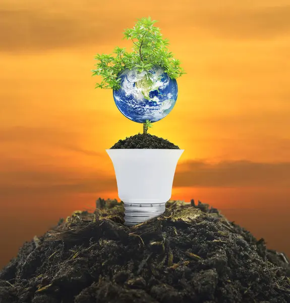 Earth with tree on soil with light bulb over sunset sky, Save the earth ...