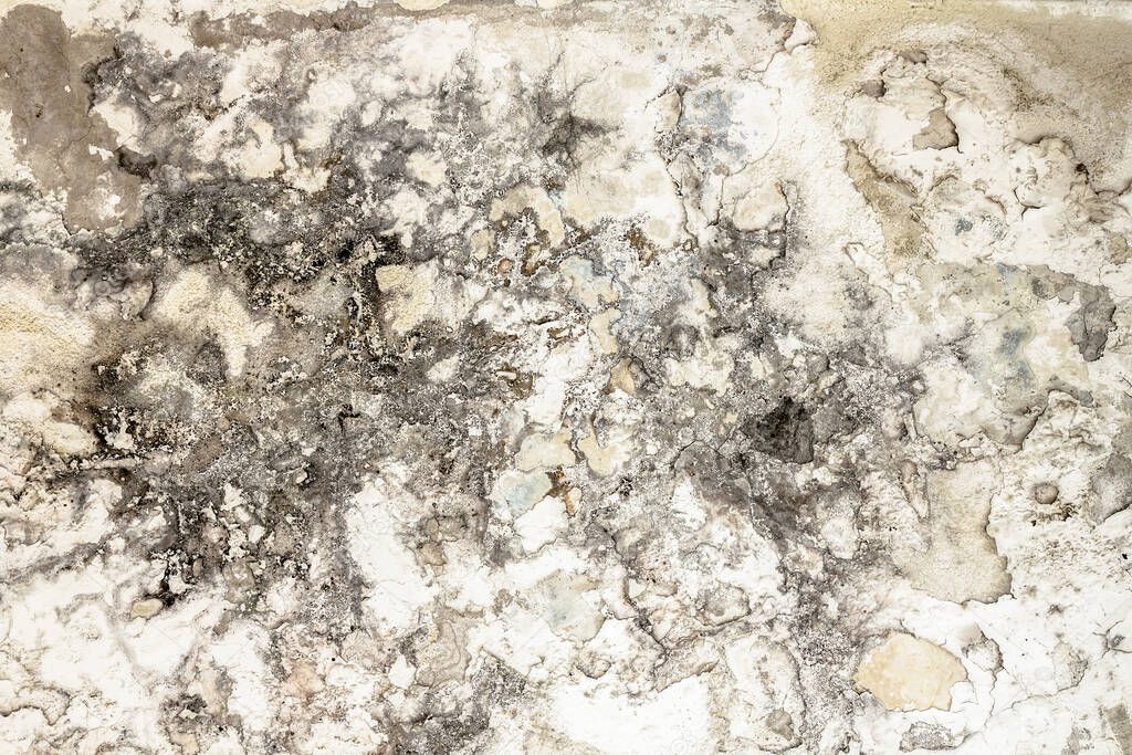 hongo del molde en el techo y la pared de habitacióncrear problemas de ...