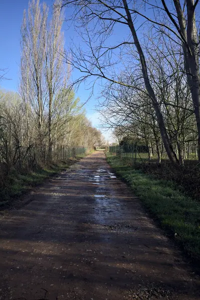 Puddle path Images - Search Images on Everypixel