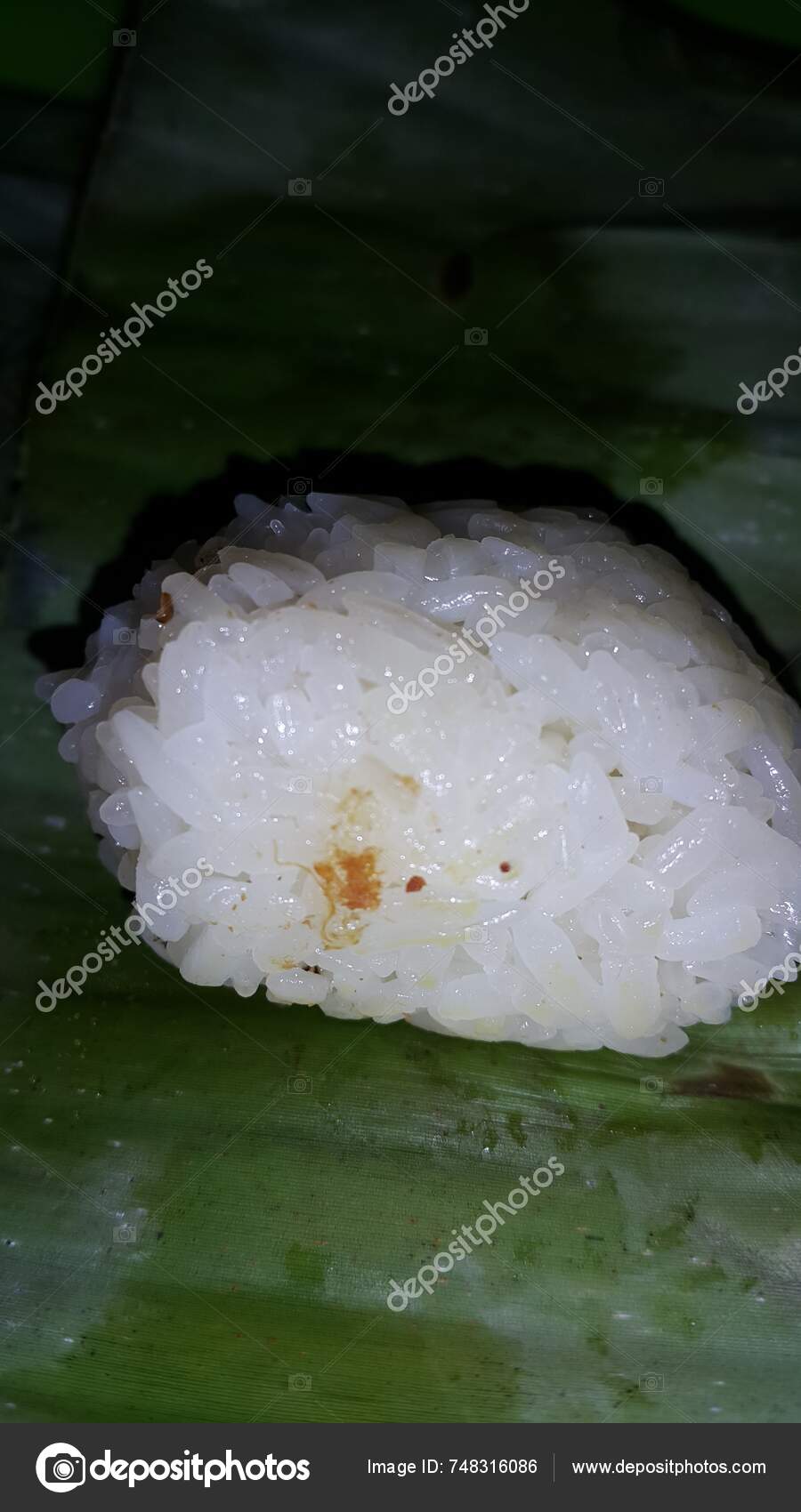 Texture Shot Chicken Lemper Indonesian Tradisional Food Called Lemper ...