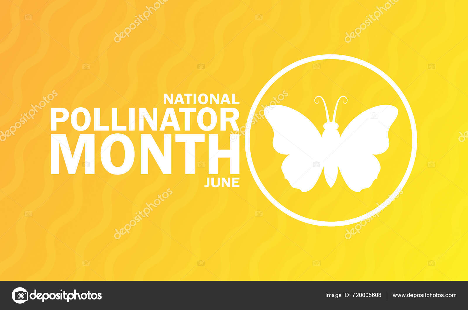 National Pollinator Month June Wallpaper Shapes Typography Banner Card ...
