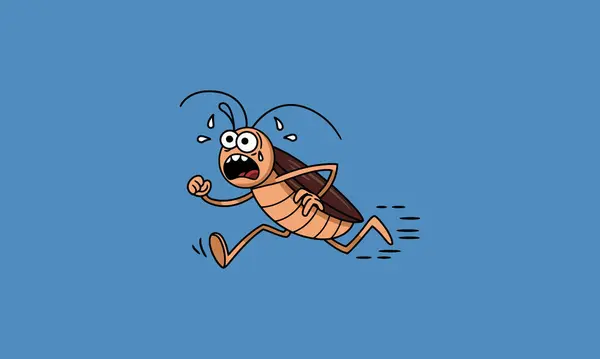 Roaches Vector Images | Depositphotos