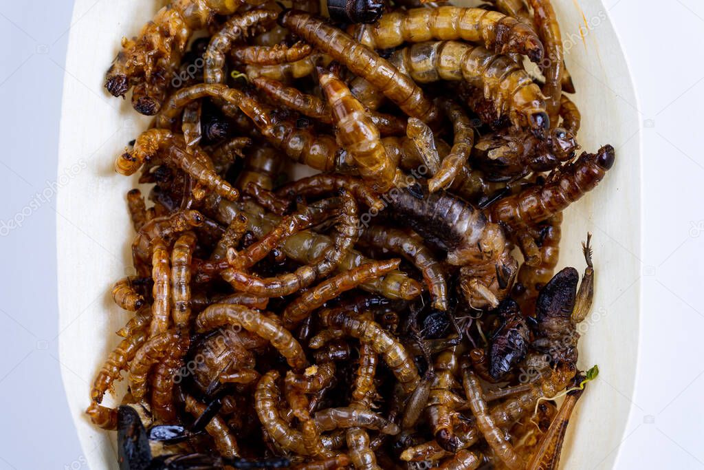 larvas de madera frita y gusanos de harina en una bandeja de madera ...