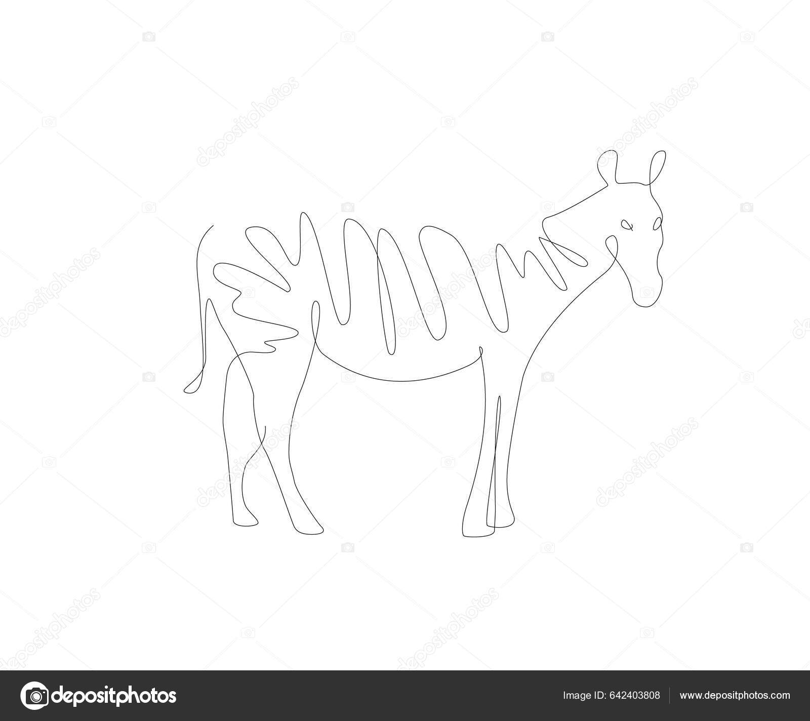 Zebra One Line Animal Linear Art Vector Illustration Outline Stock ...