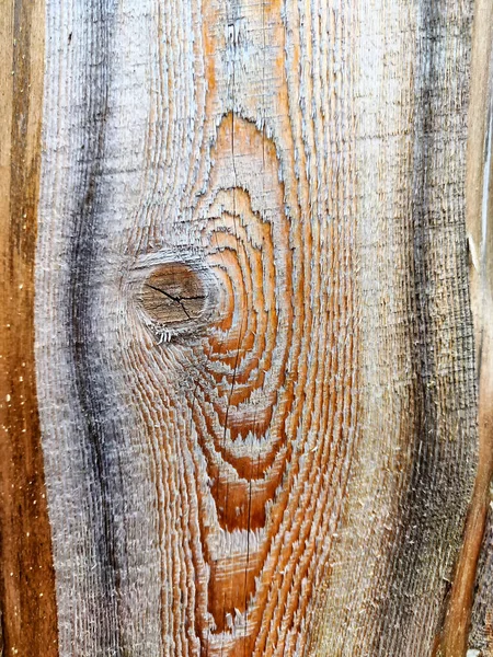 Wood texture tree Stock Photos, Royalty Free Wood texture tree Images ...