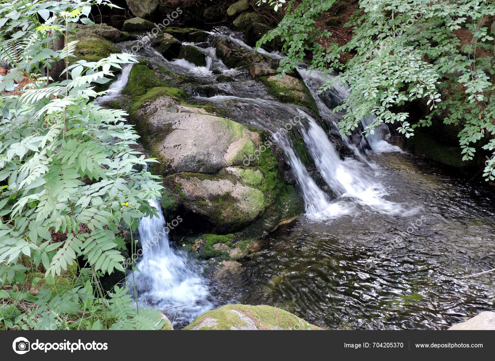 Water Cascade Mountain River Called Podgrna River Flowing Water Beech ...