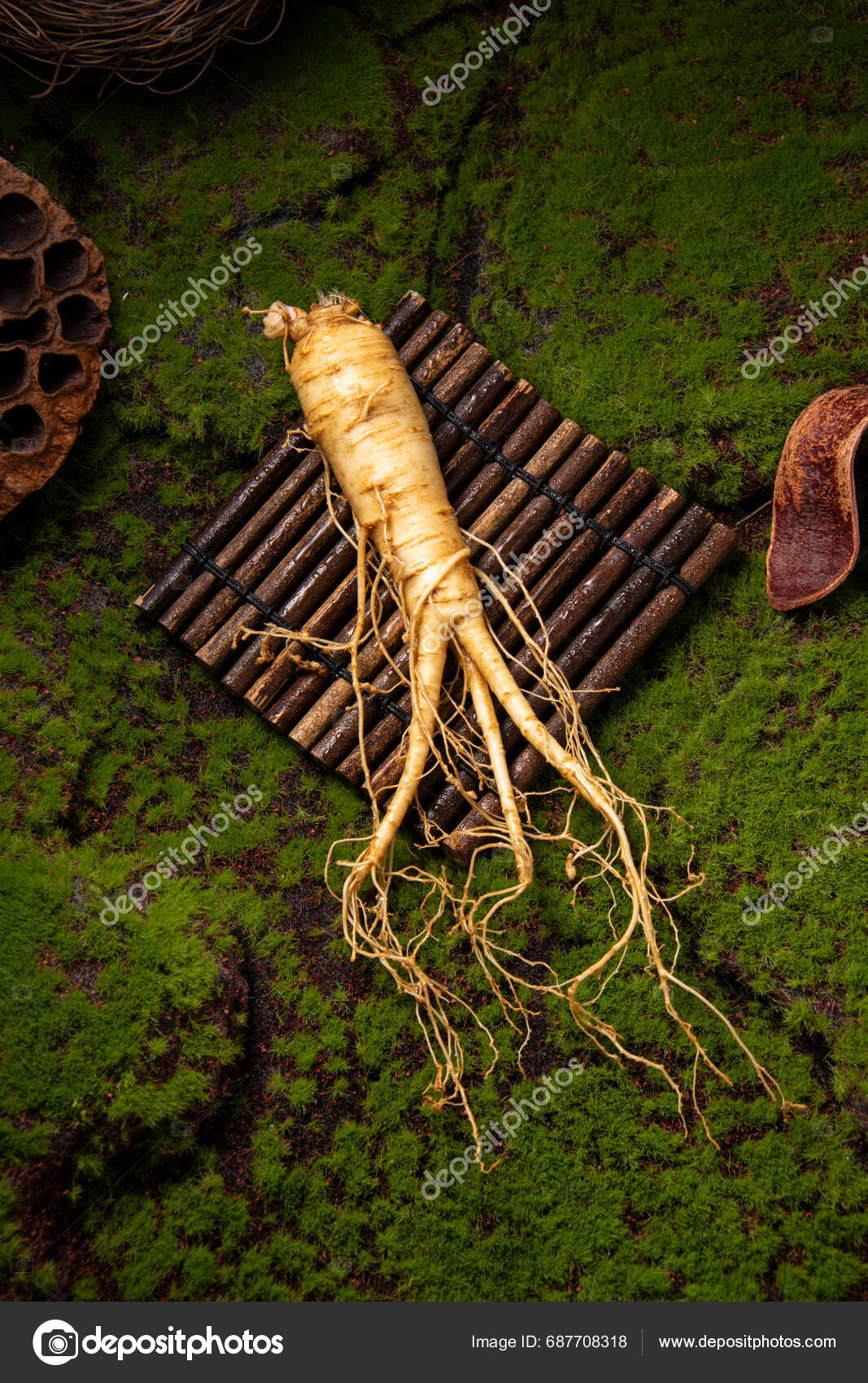 Fresh Ginseng Root Amazing Health Benefits Ginseng You Need Know Stock ...