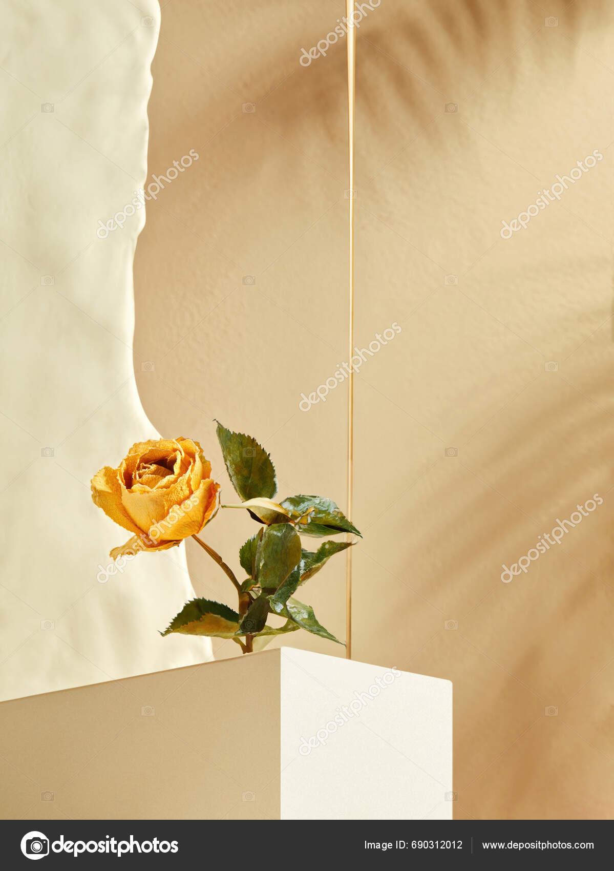 Product Demonstration Backdrops Product Advertising Background Product ...