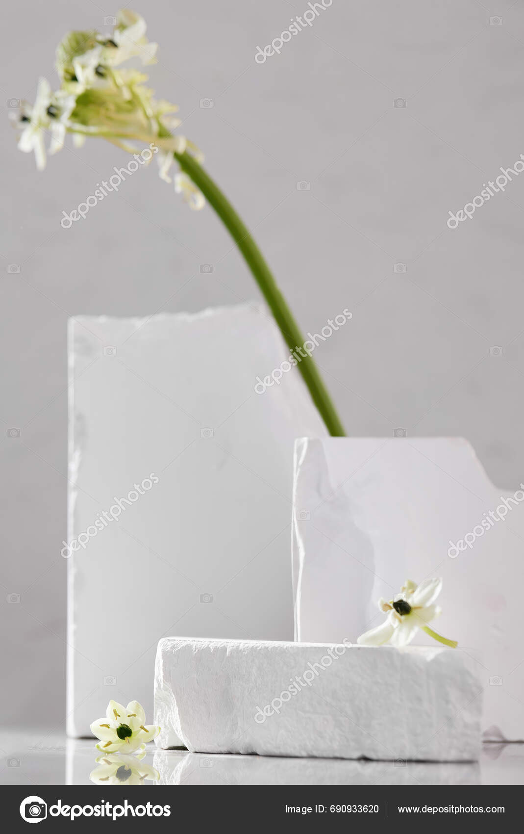 Photo Backdrop Merchandise Product Image Backdrops Product Photography ...