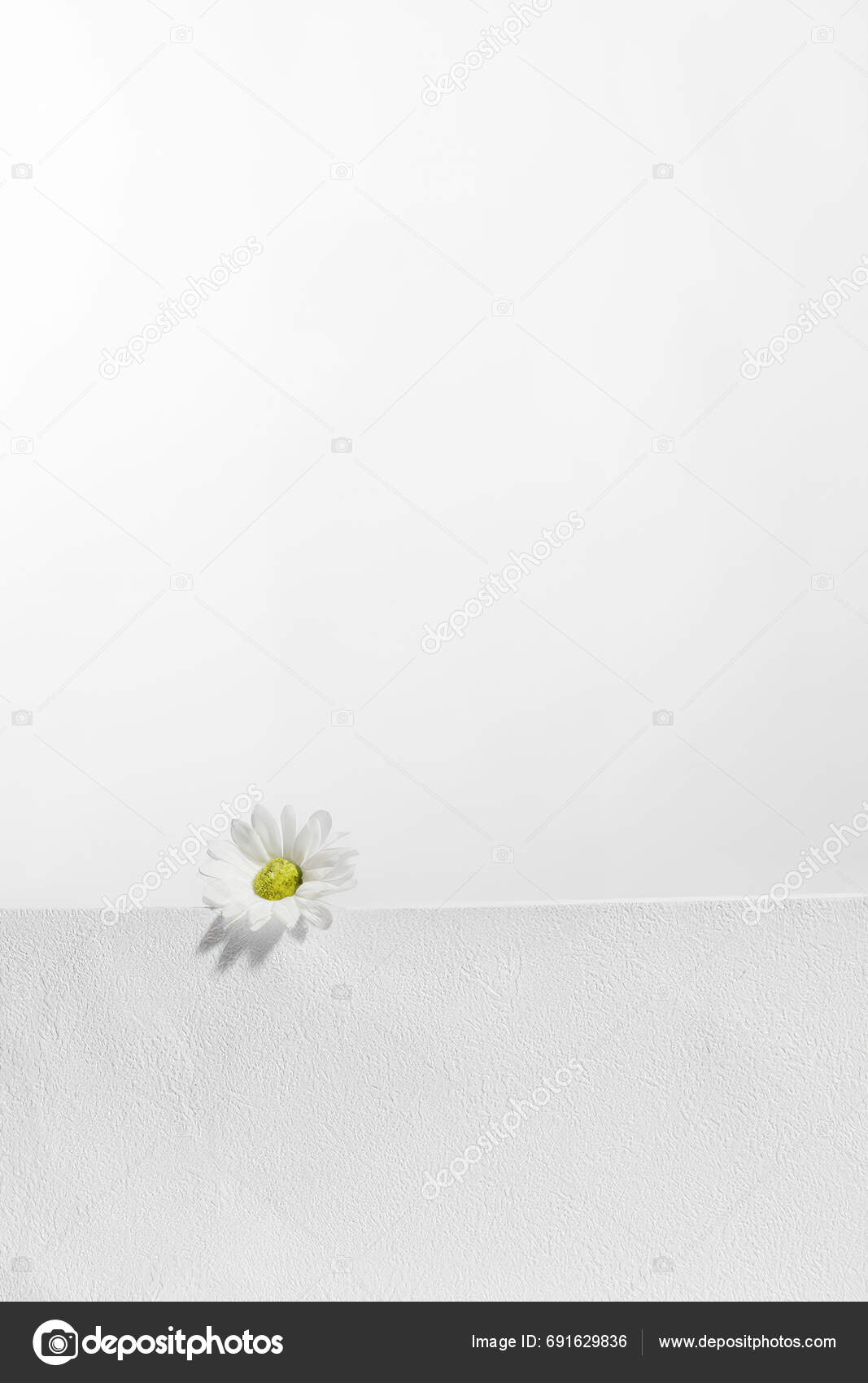 Photo Backdrop Merchandise Product Image Backdrops Product Photography ...