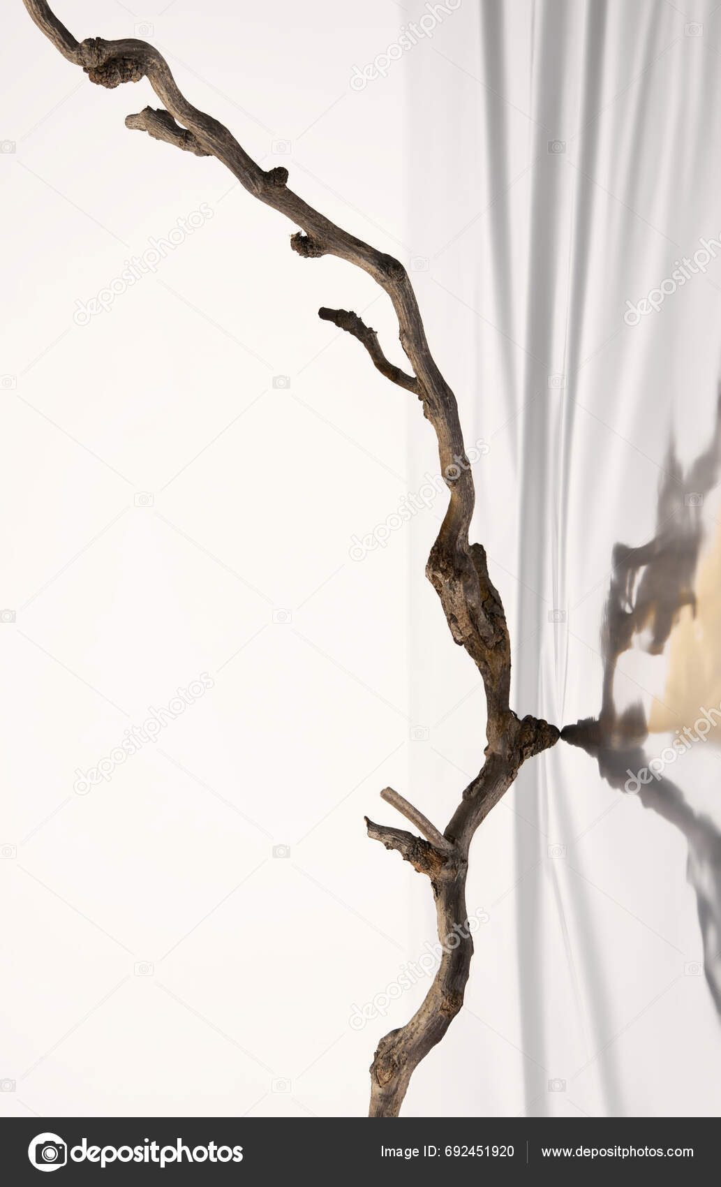 Photo Backdrop Merchandise Product Image Backdrops Product Photography ...