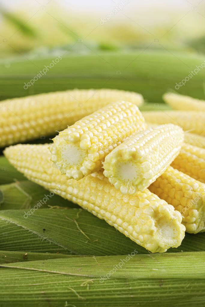 Imágenes de maíz bebé, mazorcas de maíz, imágenes de alta calidad de ...