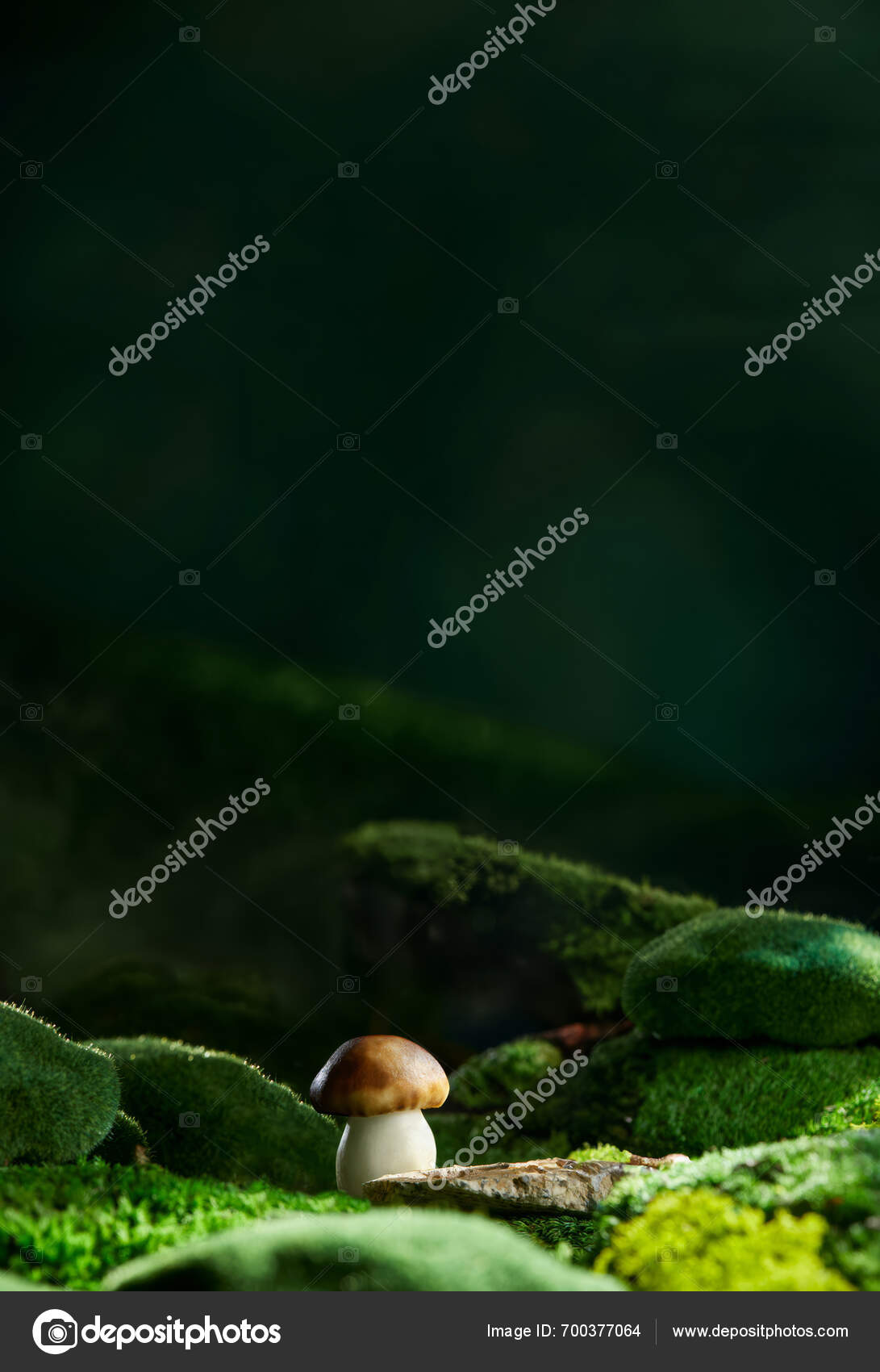 Product Backdrop Designs Product Showcase Backdrop Product Photography ...