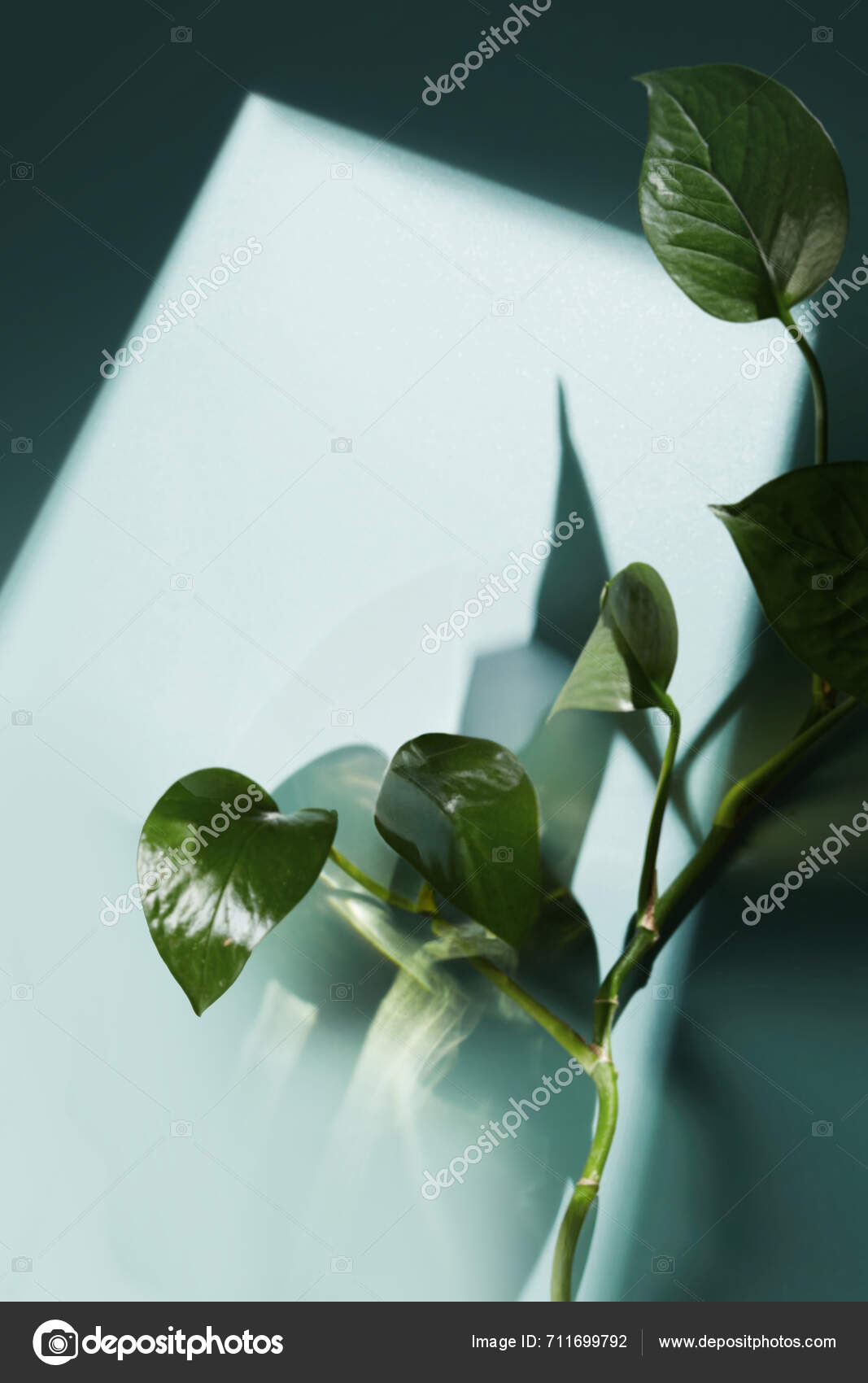 Photo Backdrop Merchandise Product Image Backdrops Product Photography ...