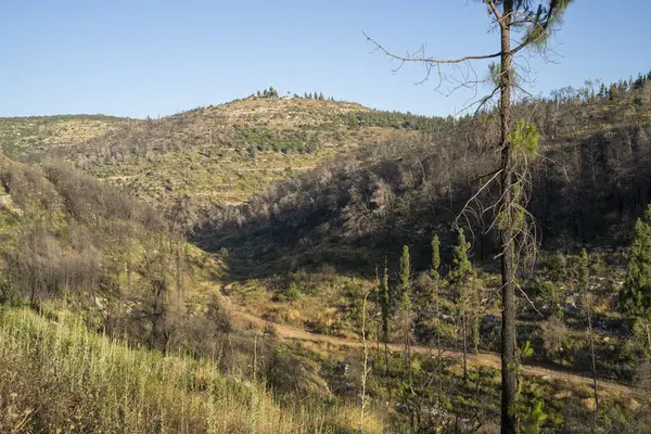 Un paisaje en las montañas de Judea, Israel, con un camino en un valle ...