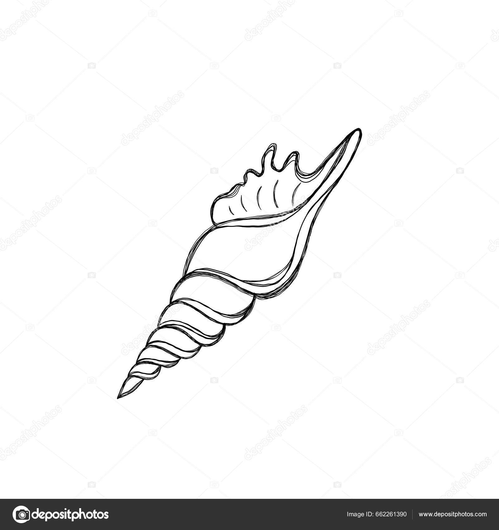 Clam Shell Outline Tattoo