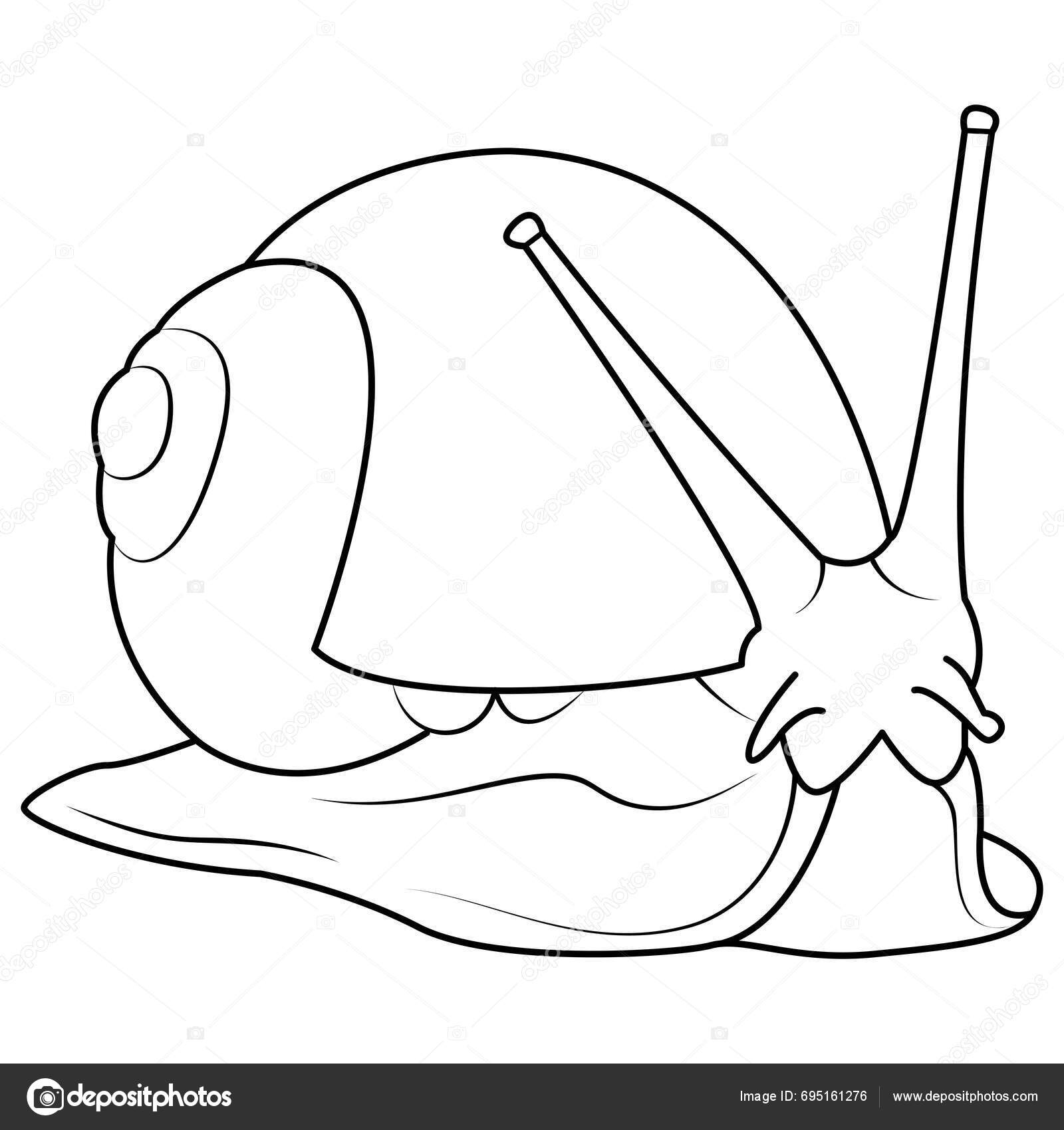 Garden Snail Line Art Vector Elements Isolated White Background ...