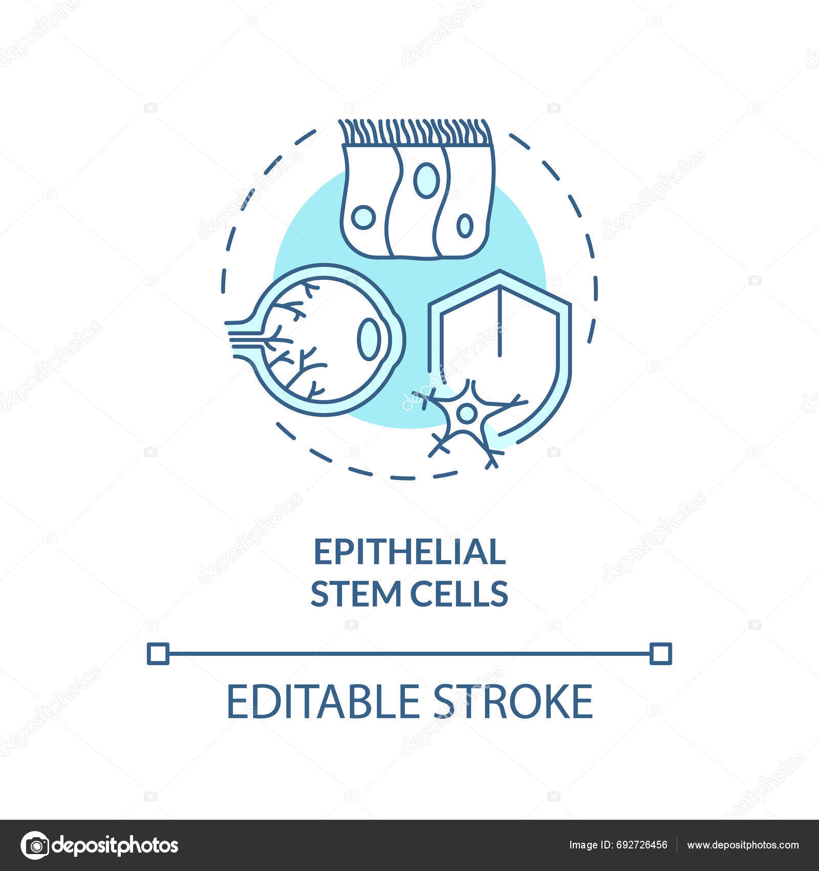 Editable Blue Epithelial Stem Cells Icon Monochromatic Isolated Vector ...