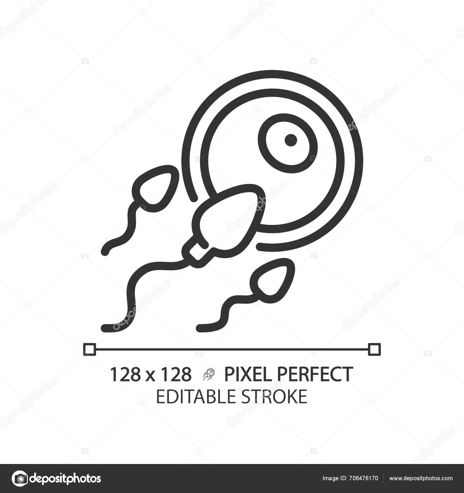 Fertilization Linear Icon Fertility Ovulation Insemination Human ...