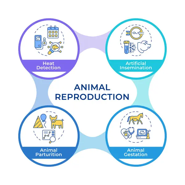 Vectores de Reproduccion animales, imágenes vectoriales | DepositPhotos