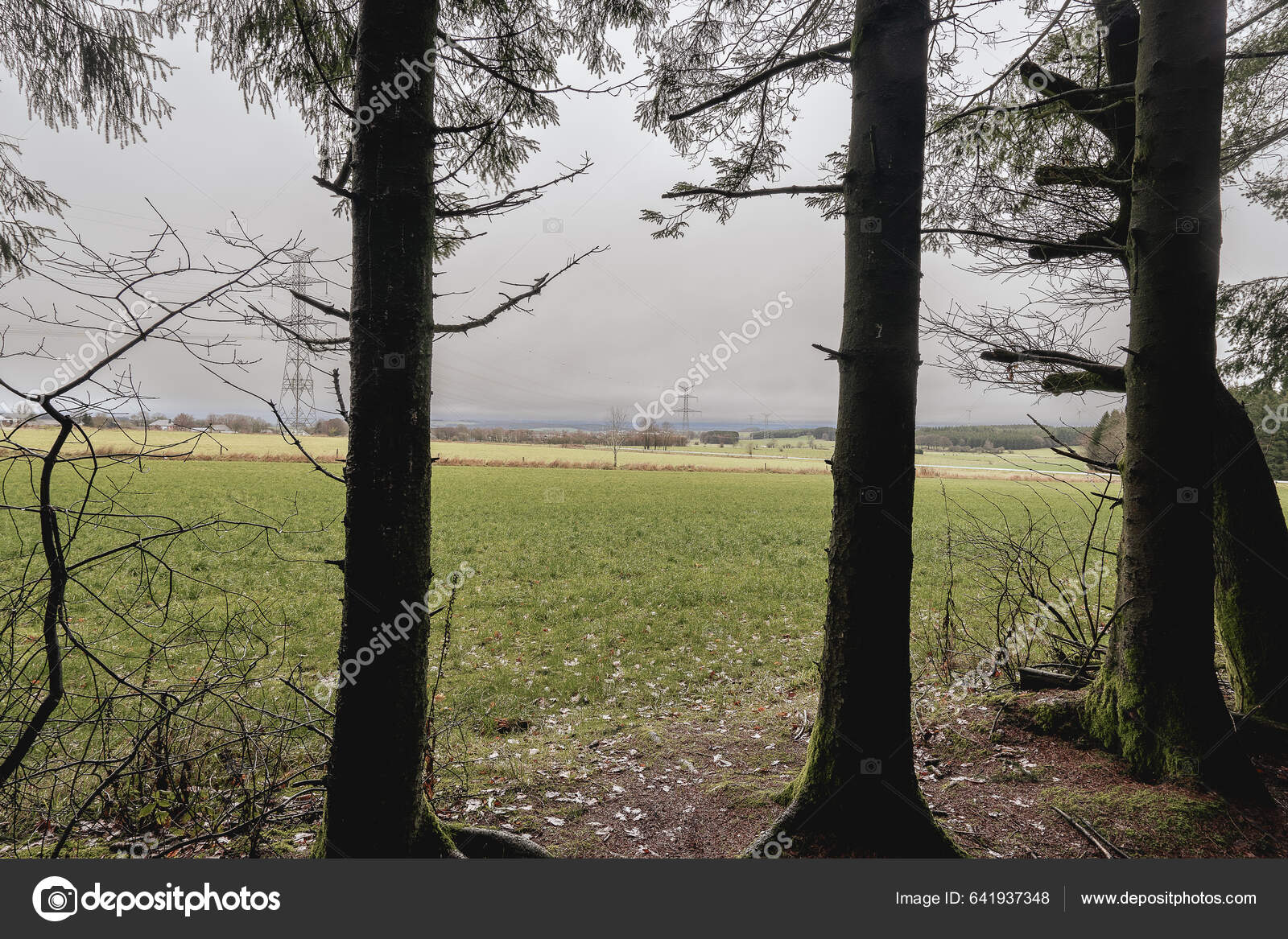 Bois Jacques Forest Foxholes Easy Company 101St Airborne Division Close ...