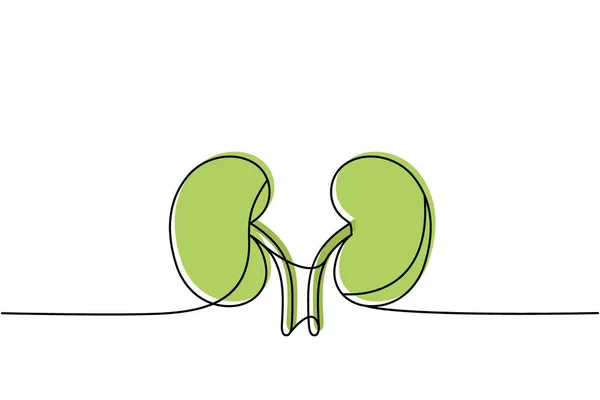 Chronic kidney disease Vector Images | Depositphotos