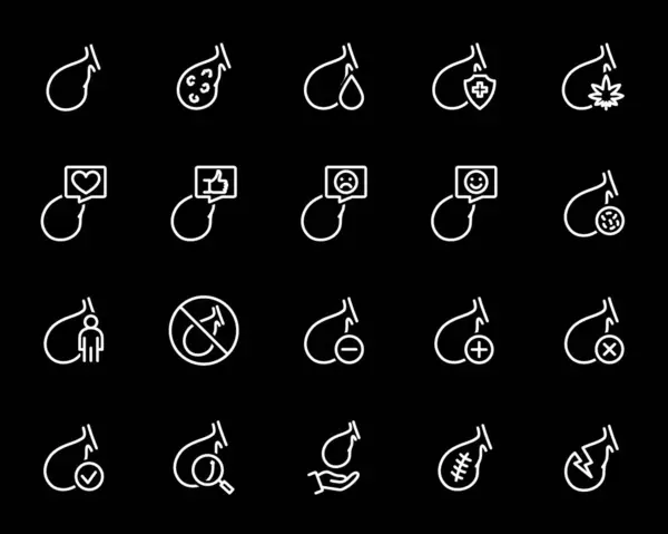 Gallstone Vector Images | Depositphotos