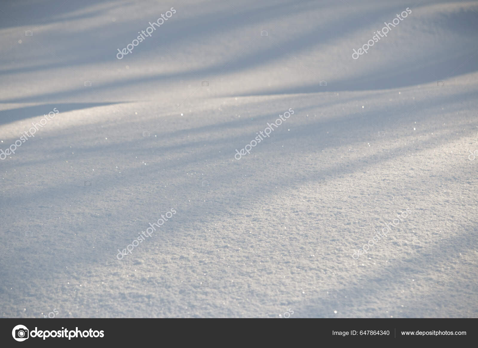 Tree Branch Shadows Fresh Morning Snow — Stock Photo © AlexJak #647864340