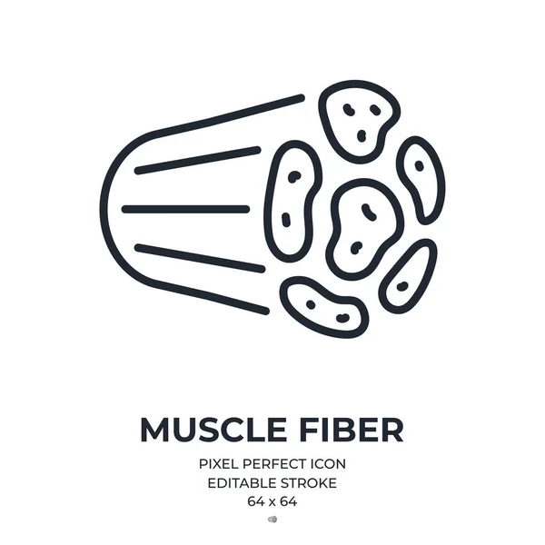 Muscle hypertrophy Vector Art Stock Images | Depositphotos