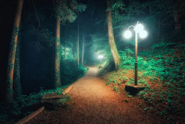 Forest path night Stock Photos, Royalty Free Forest path night Images | Depositphotos