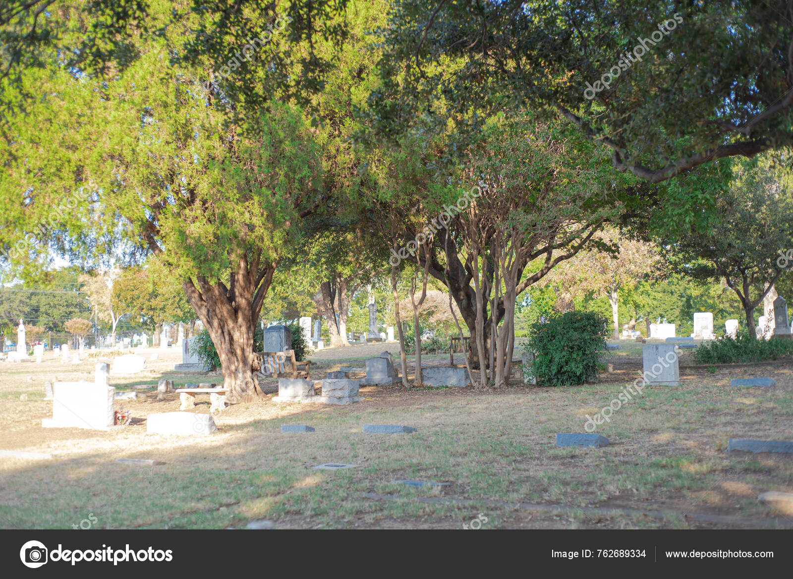 Lush Green Tree Shade Cemetery Burial Ground Gravesite Graveyard ...
