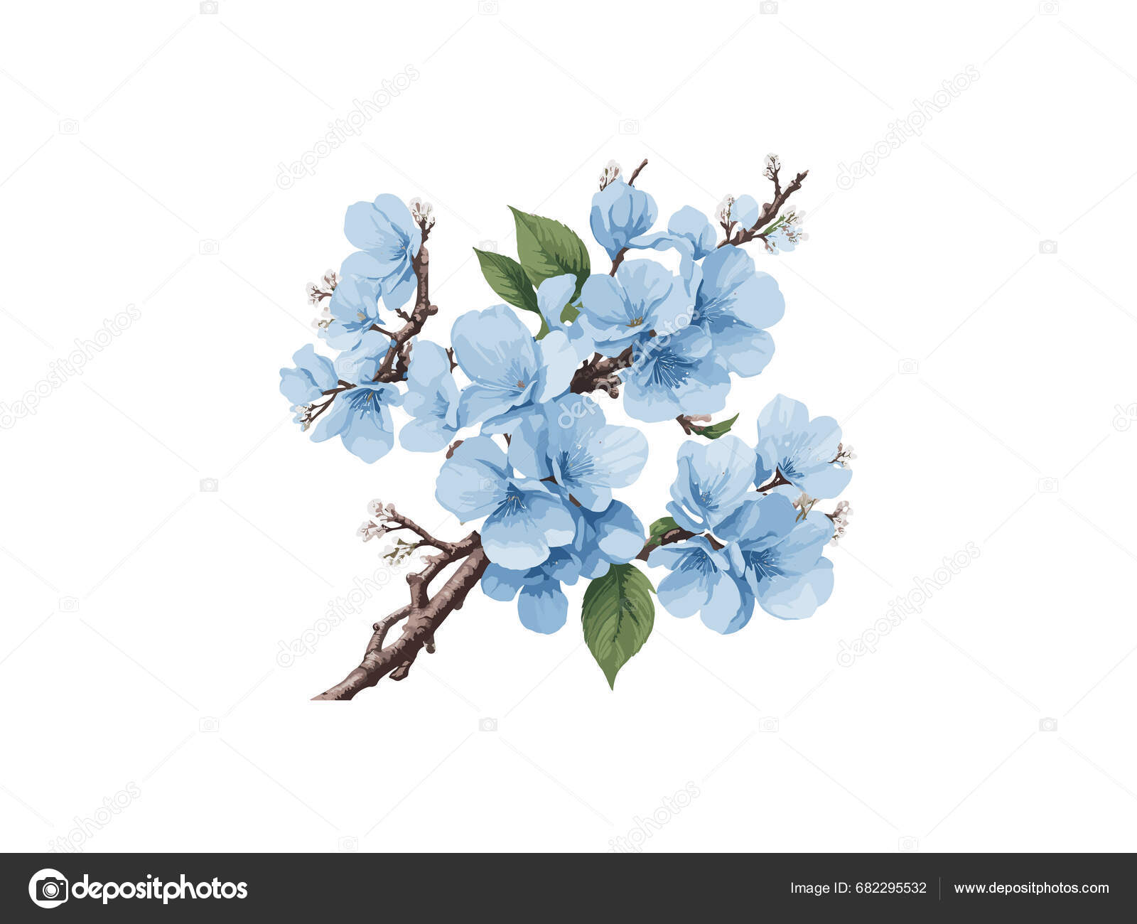 Vector Branch Spring Flowers Watercolor Tree Branch Detailed Hand Drawn ...