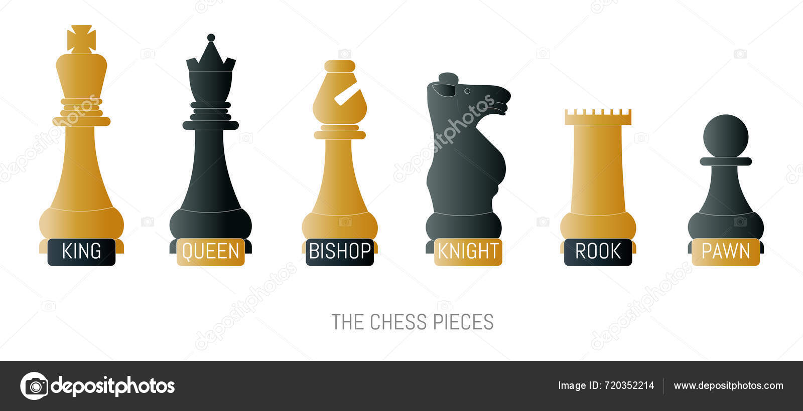 Peças Xadrez São Mostradas Uma Fileira Com Cada Peça Rotulada Vetor de ...