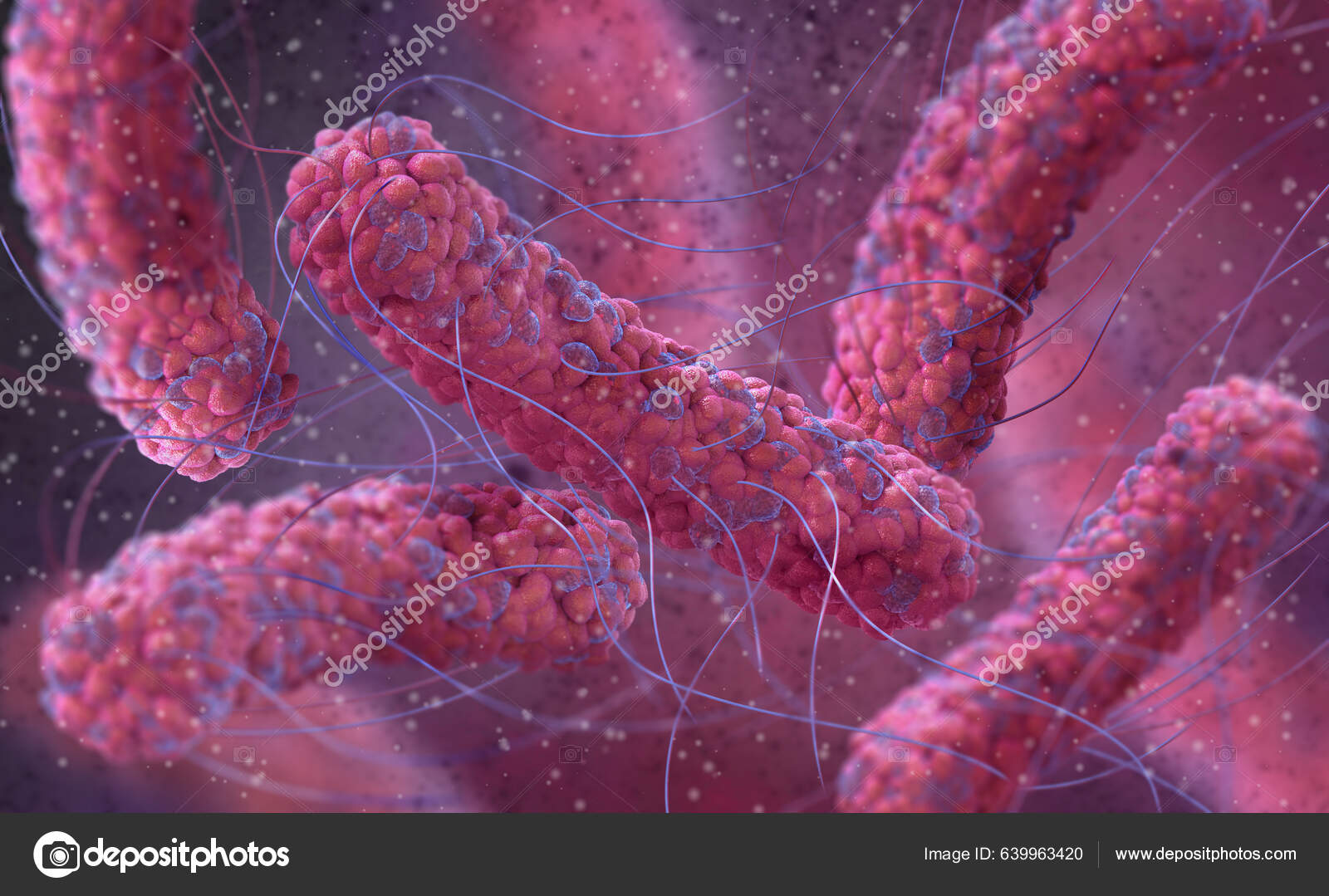 Antecedentes Médicos Bacterias Anaerobios Facultativos Salmonella ...
