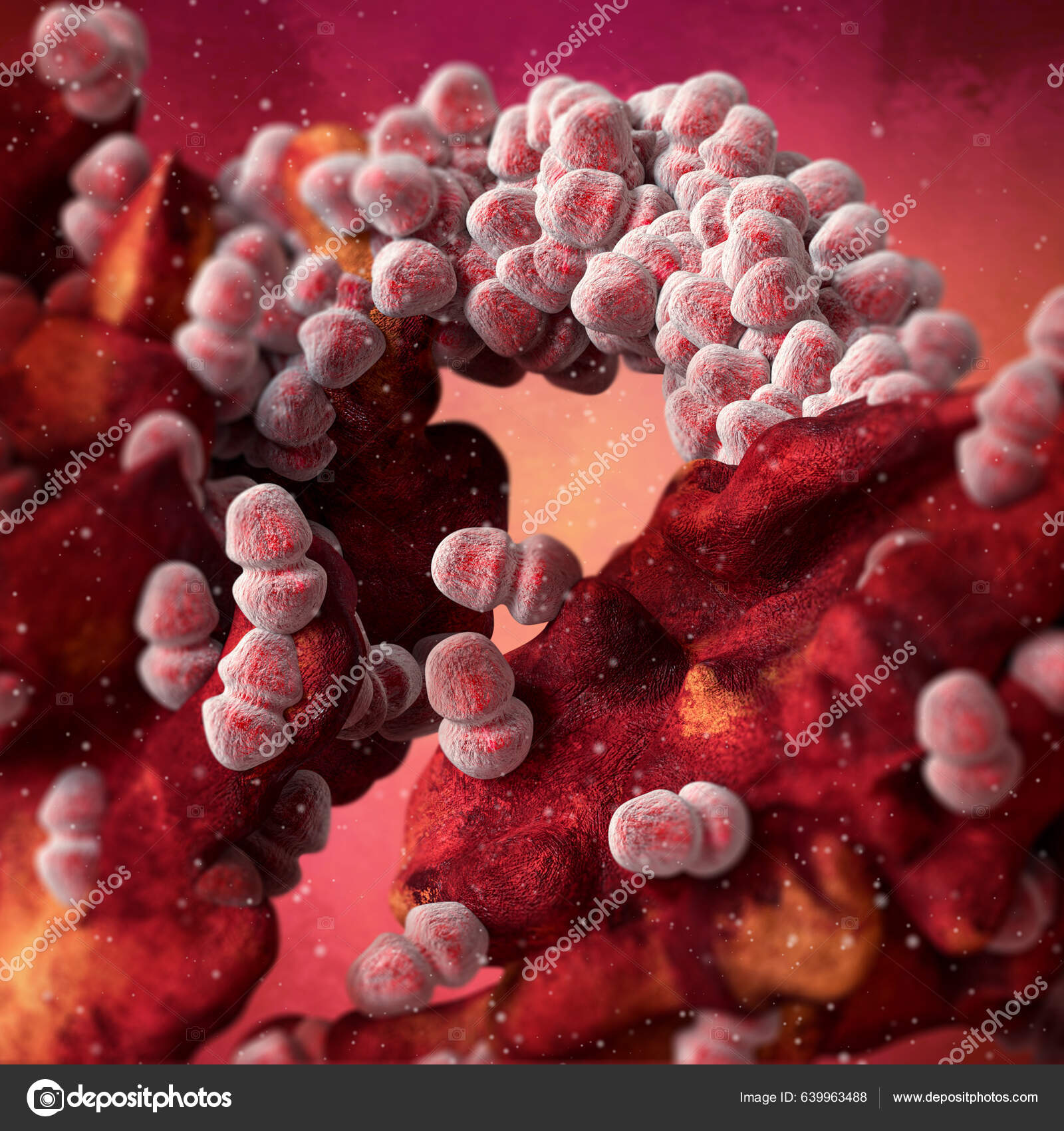 Medical Background Staphylococcus Aureus Type Spherical Gram Positive ...