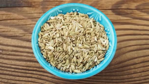 240 vídeos de Rezene tohumu, metraje de Rezene tohumu sin royalties ...