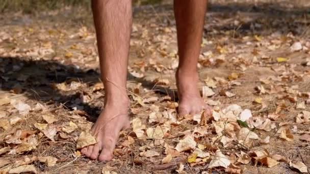 Man Walks Barefoot Fallen Autumn Leaves Embracing Natures Beauty Slow ...