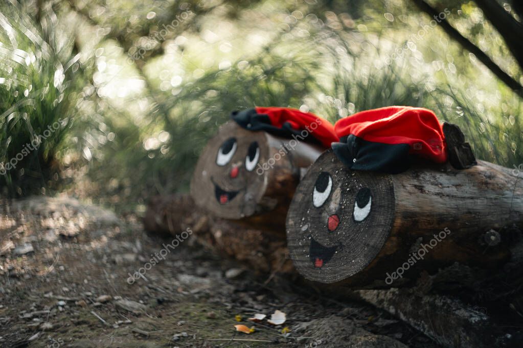 Caga ti, una tradición catalana que consiste en decorar troncos con caras alegres para Navidad. 2025