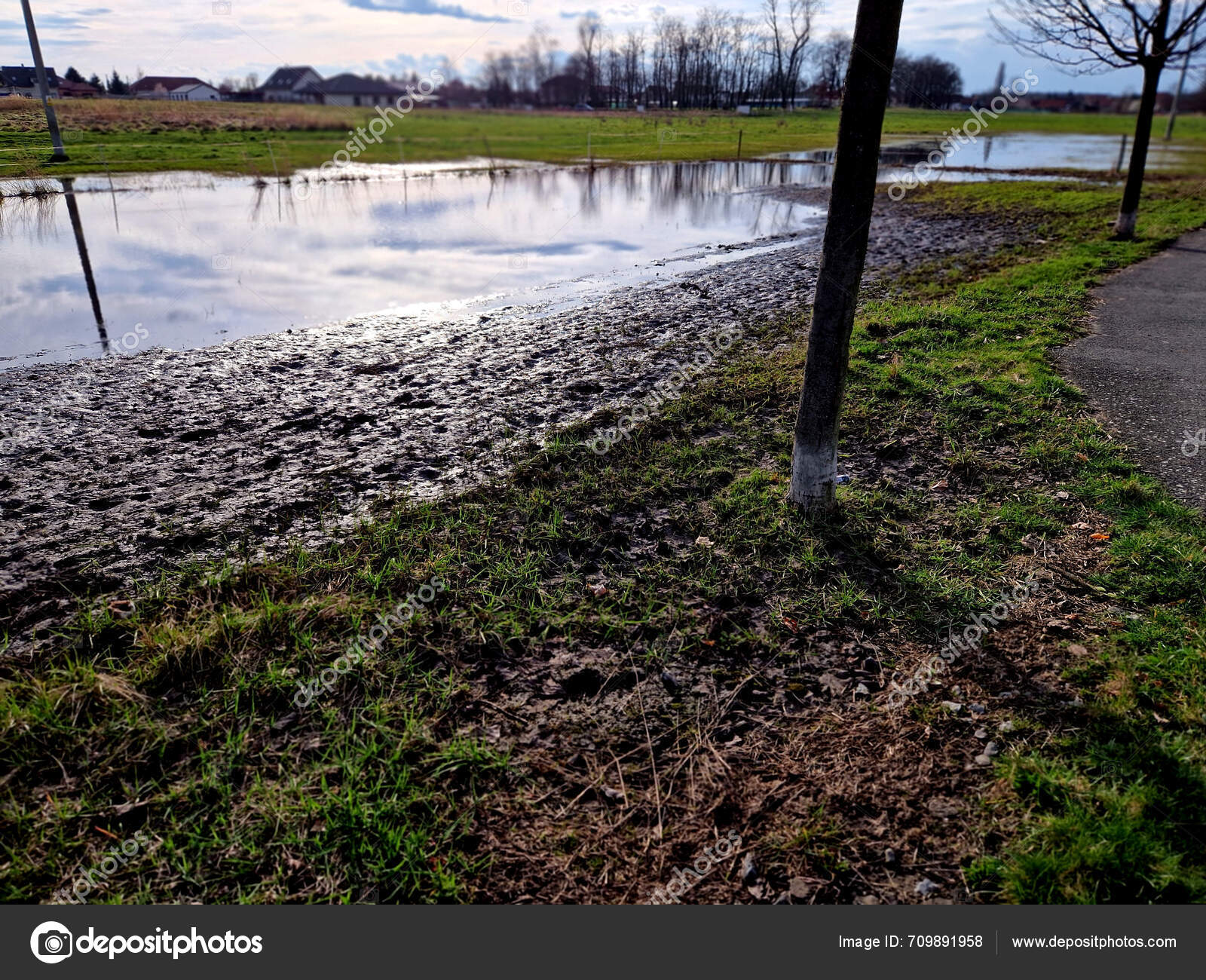 Waterlogged Soil Park Does Receive Water Spring Rain Poorly Executed ...