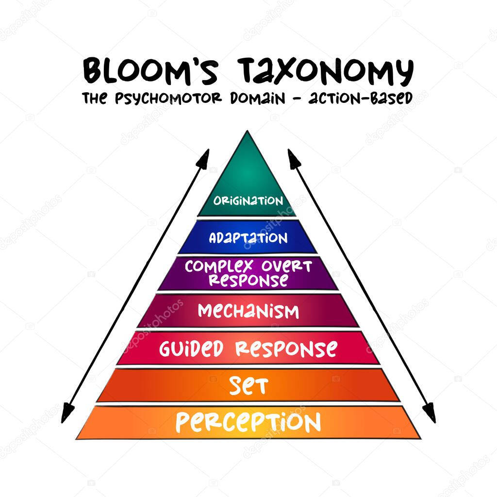 Taxonomía dibujada a mano de Bloom El modelo jerárquico del dominio ...