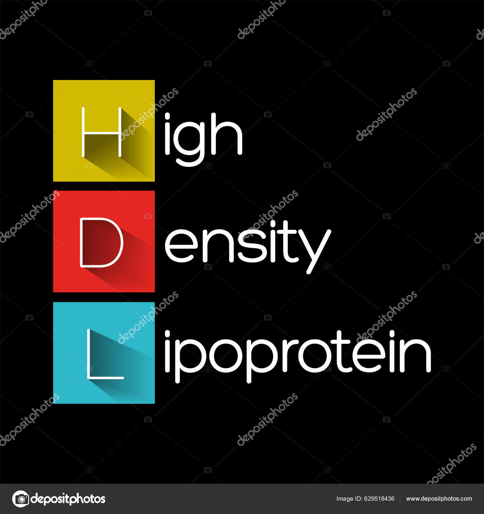 Hdl High Density Lipoprotein One Five Major Groups Lipoproteins Acronym ...