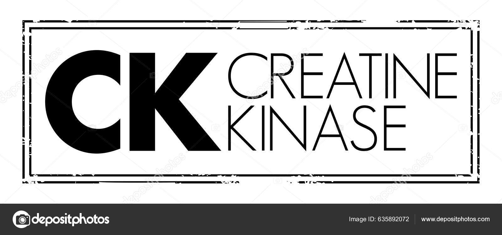 Creatine Kinase Enzyme Expressed Various Tissues Cell Types Acronym ...