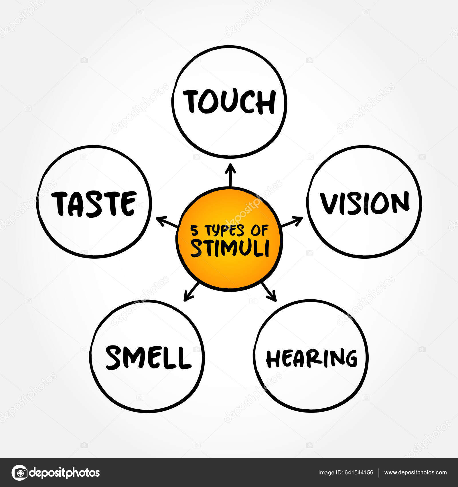 Types External Stimuli Divided Our Senses Touch Vision Smell Taste ...