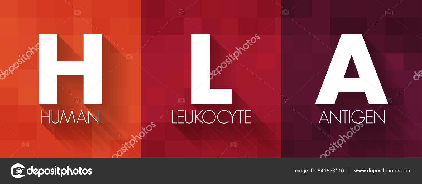 Hla Antígeno Leucocitario Humano Complejo Genes Cromosoma Los Seres ...