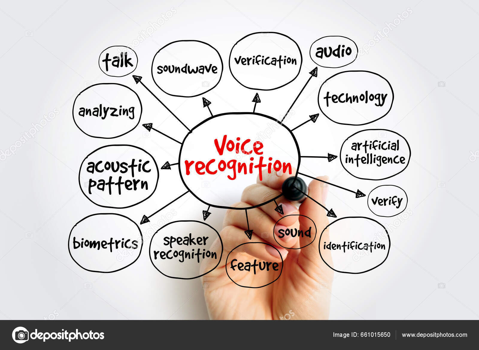 Biometric Voice Recognition