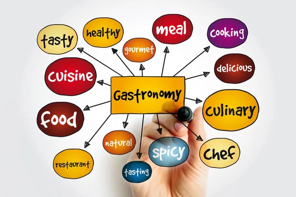 Mapa mental de gastronomía, concepto de comida para presentaciones e informes 2023