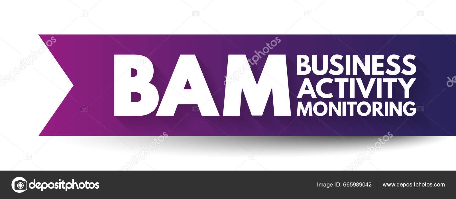 Bam Business Activity Monitoring Software Aids Monitoring Business ...