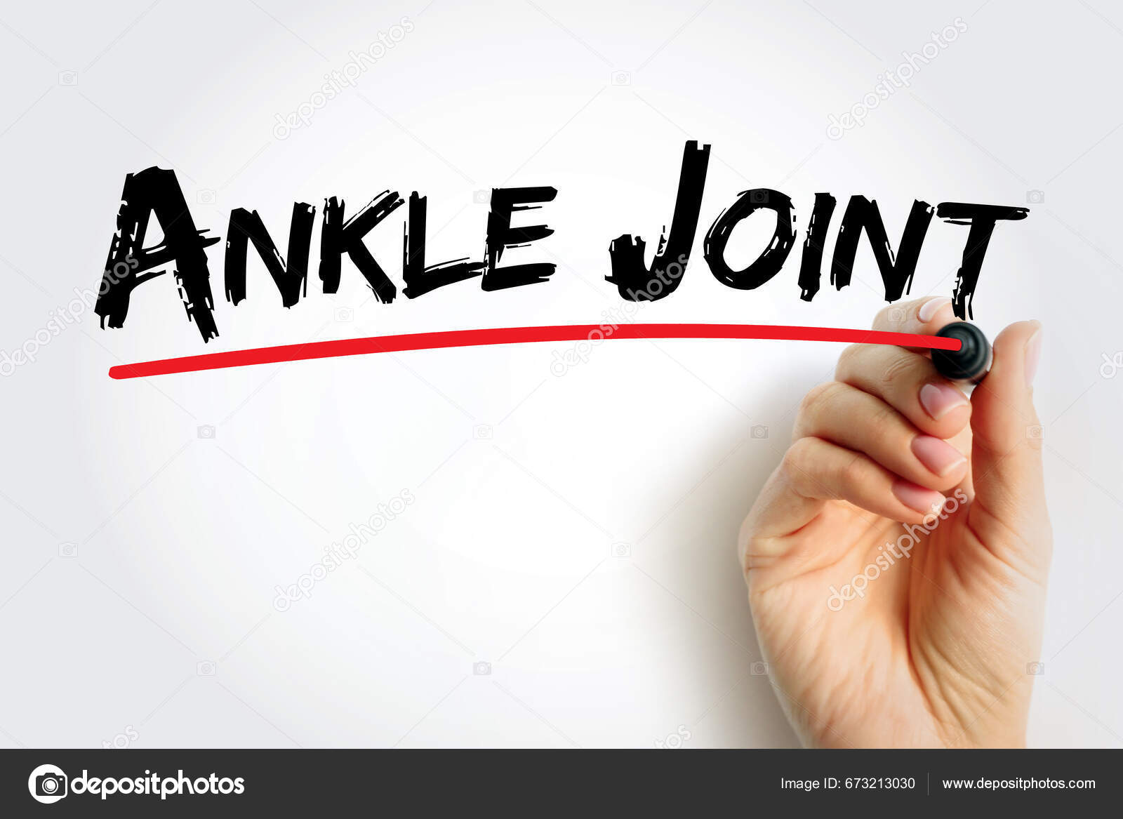 Ankle Joint Synovial Joint Located Lower Limb Text Concept Background