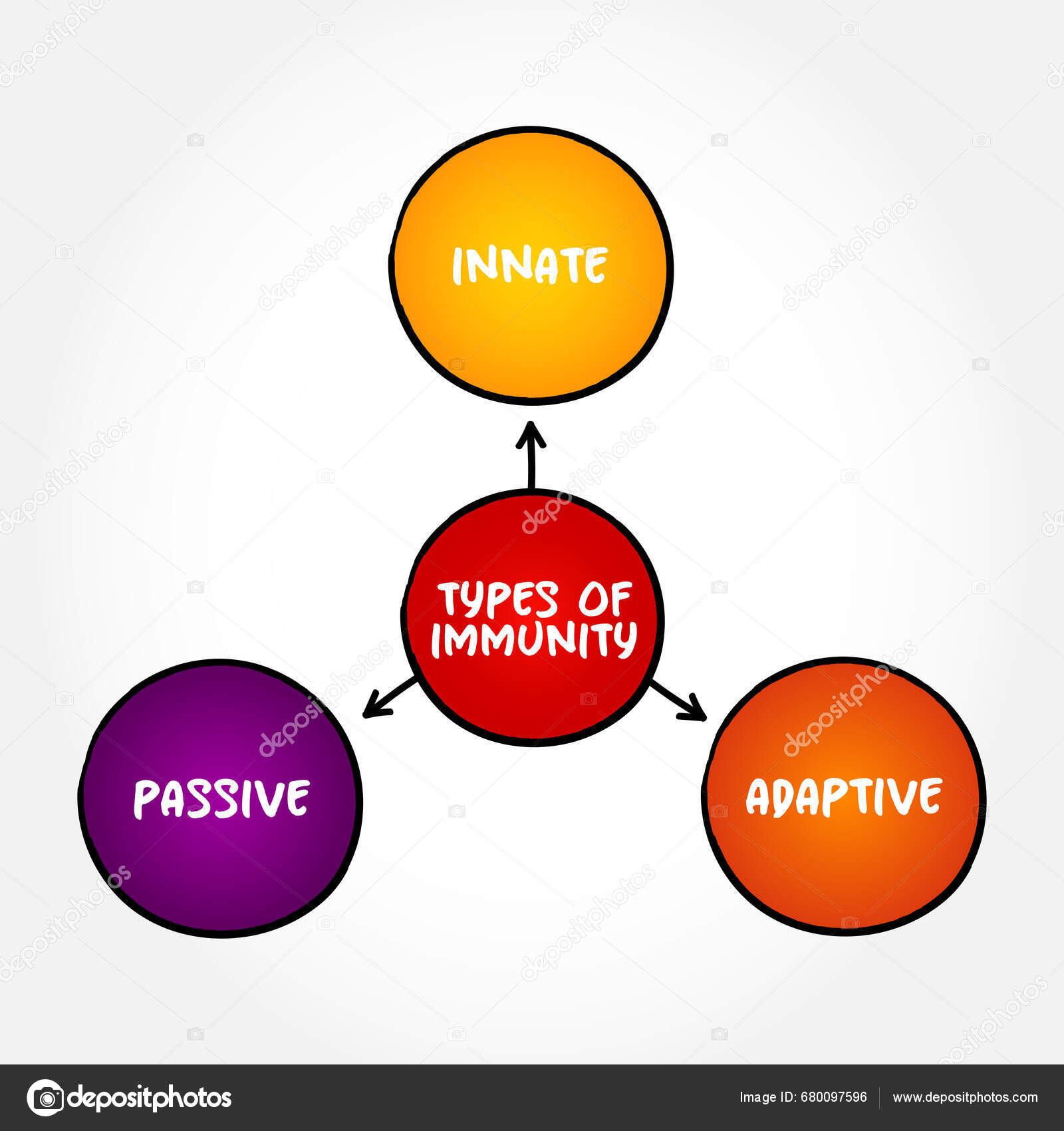 Tipos Inmunidad Mapas Mentales Concepto Texto Para Presentaciones ...